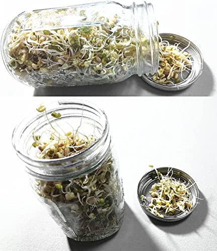 Mason Jar Regular Mouth Shaker Lids 316 Stainless Steel Wide Mouth Sprouting Lids Screen Mesh Strainer Lid for Salad Sprouts Alfalfa Broccoli Seeds Sprouter Kit