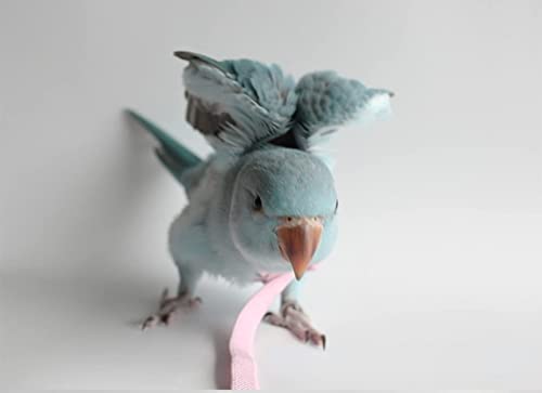 Pet Parrot Bird Harness Leash Adjustable Bird Flying Harness Traction Rope with Cute for Parrots Budgerigar Lovebird Cockatiel Mynah Outdoor Training Toy (Quaker/Sun Conure,Pink)