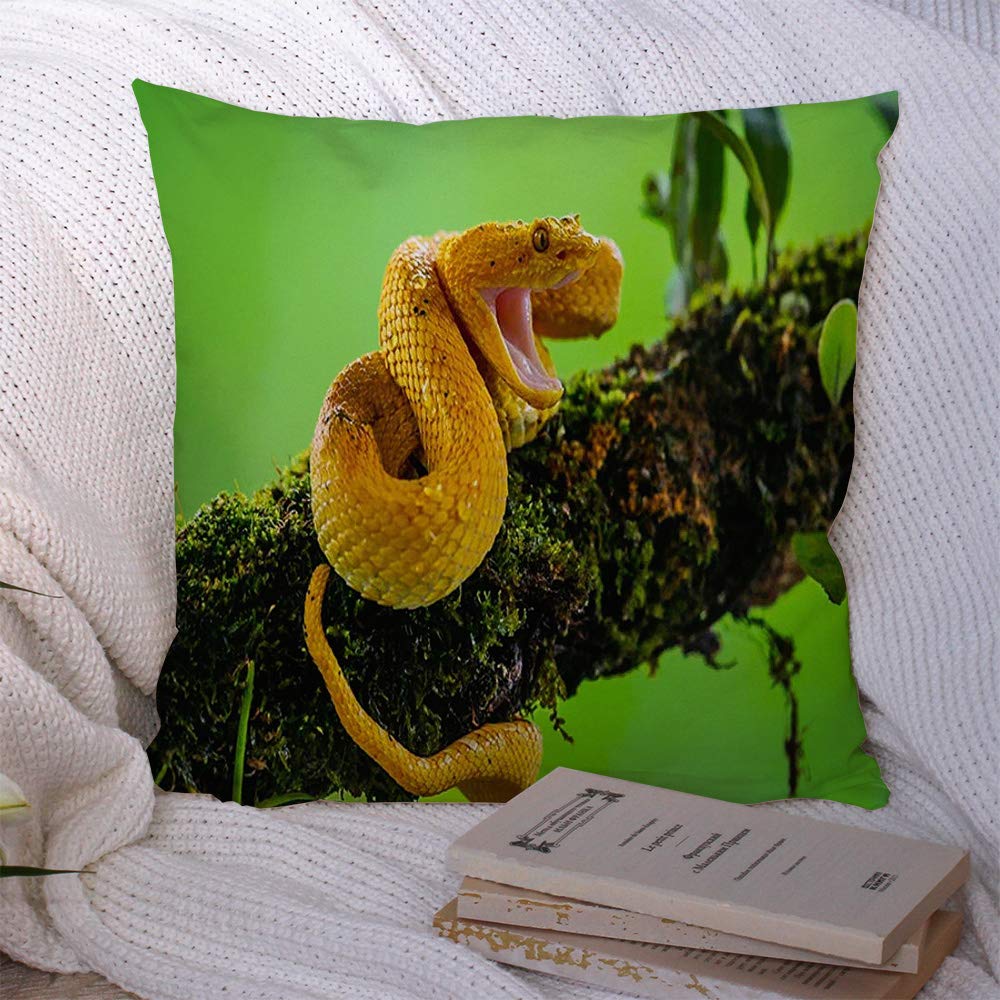 Decorative Polyester Throw Pillow Covers Viper Snake Bothriechis Forests Rica Trek Schlegelii Beautiful Colored Animals Wildlife Abstract Cushion Pillow Covers for Couch Sofa Home Car 18x18 Inch