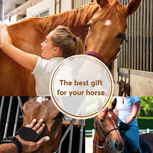 Wokape 2Pcs Horse Care Tool Kit, Incl Brush with Loop Handle/Reversible Stainless Steel Brush, Hairy Pet Care Tools for Shedding Grooming Horses Dogs Cattle Cats
