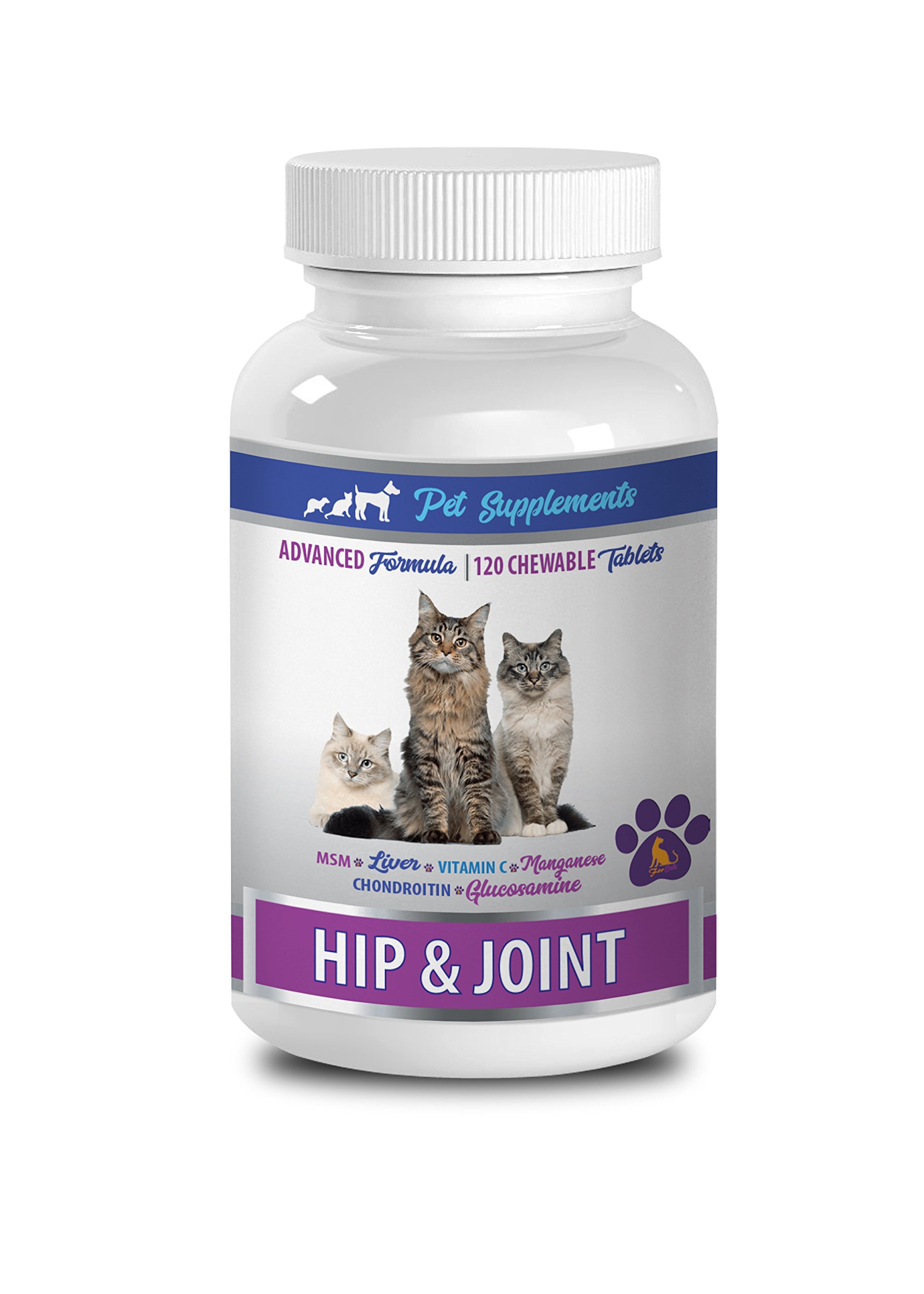 Pet Supplements cat Joint Health Treats - Hip and Joint - for Cats - Health and Care - CHEWABLE - glucosamine chondroitin Cats - 1 Bottle (120 Chews)