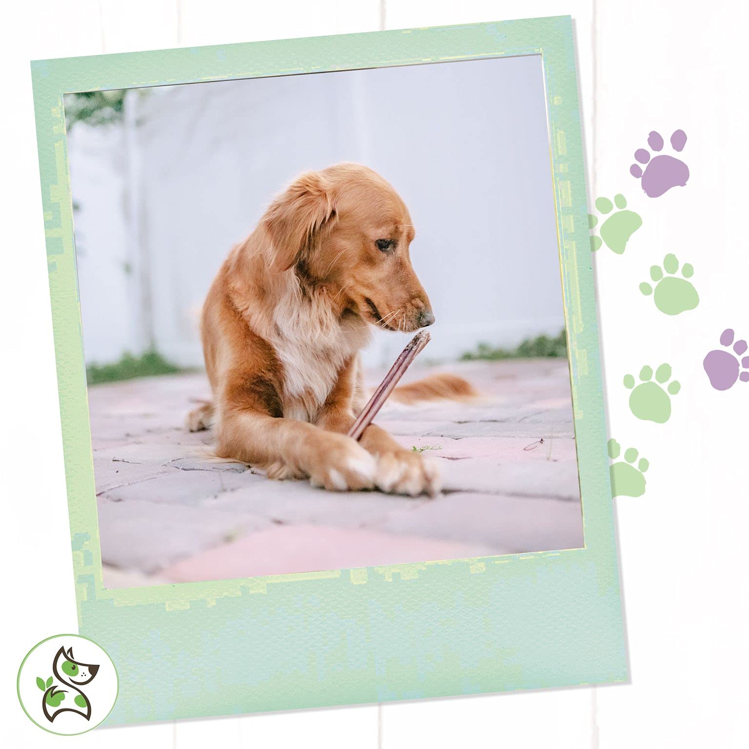 Nature Gnaws Bully Sticks for Dogs - Premium Natural Beef Dental Bones - Long Lasting Dog Chew Treats for Aggressive Chewers - Rawhide Free - Mixed Thickness 11-12"