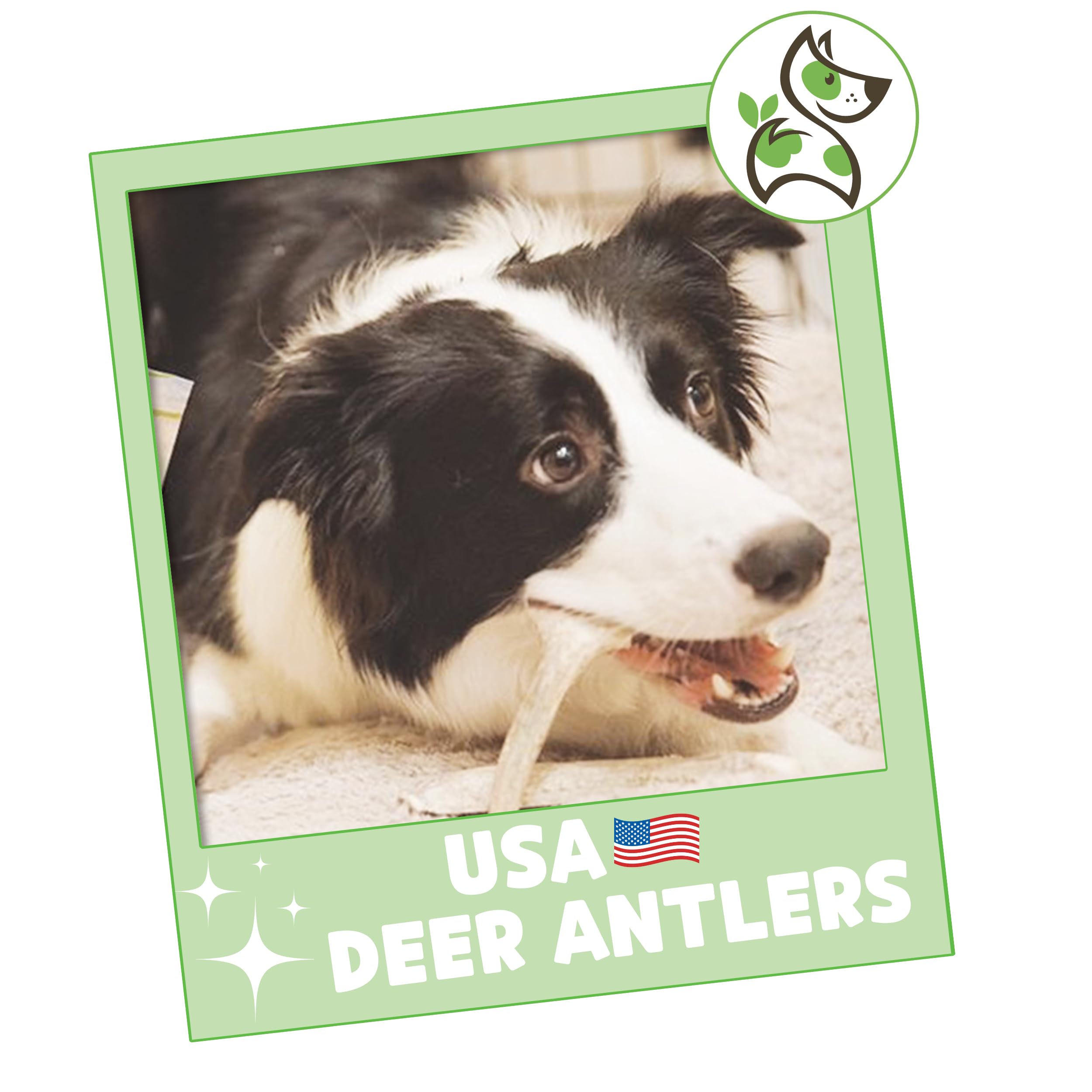 Nature Gnaws USA Deer Antlers for Dogs 4-7" (5 Count) - Mix of Split and Whole Pieces - Long Lasting for Small and Medium Breeds - Natural Dog Chew Bones