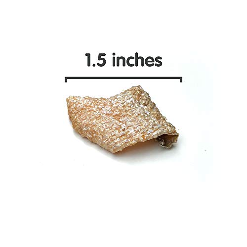 Snif-Snax Human Grade Dog Treats - All-Natural Salmon Skin Cracklings, 1.5oz