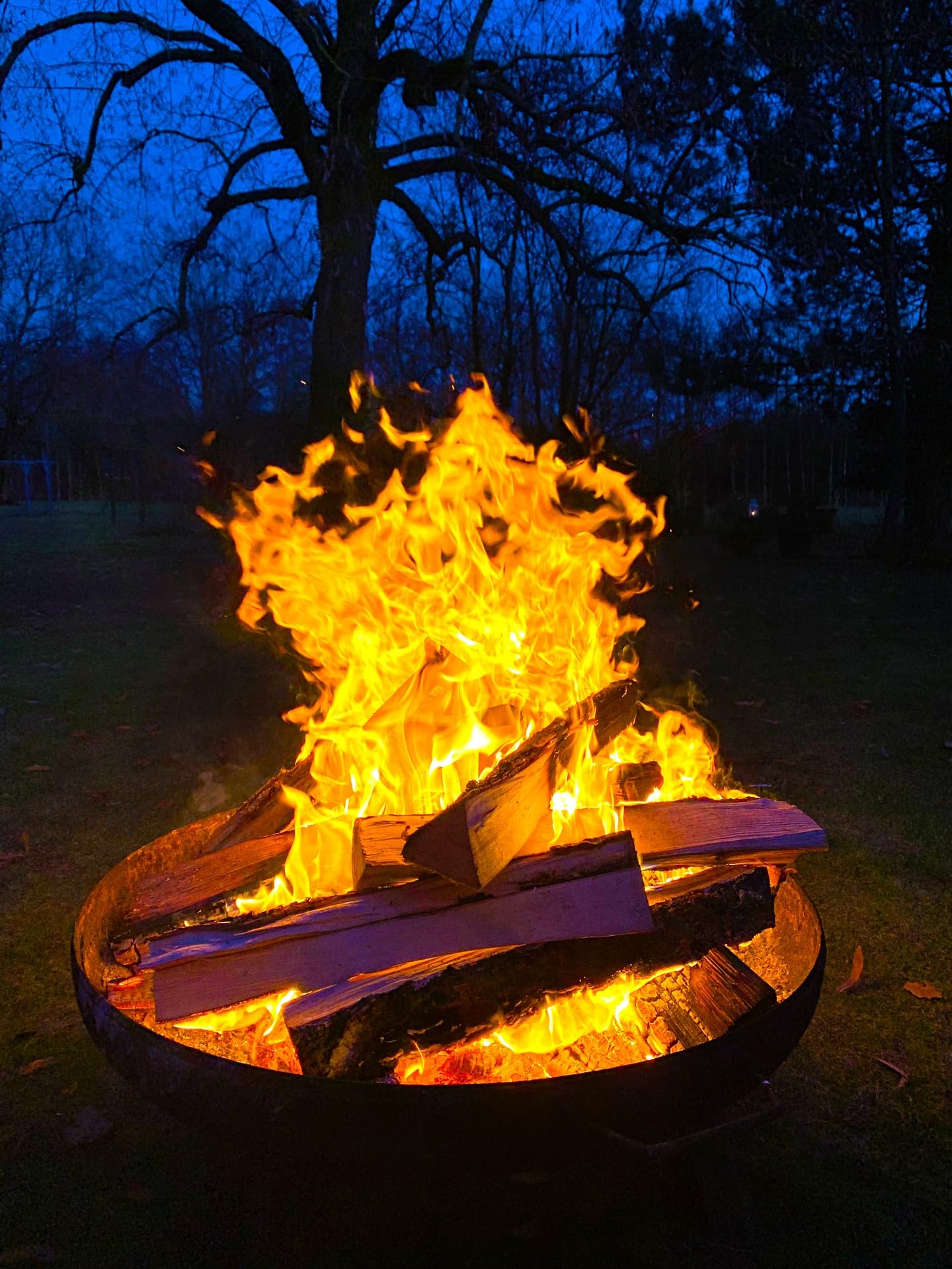 Wilson Cherry Split Firewood - Seasoned Natural Kiln Dried Fireplace, Fire Pit, Bonfire Logs (Regular)