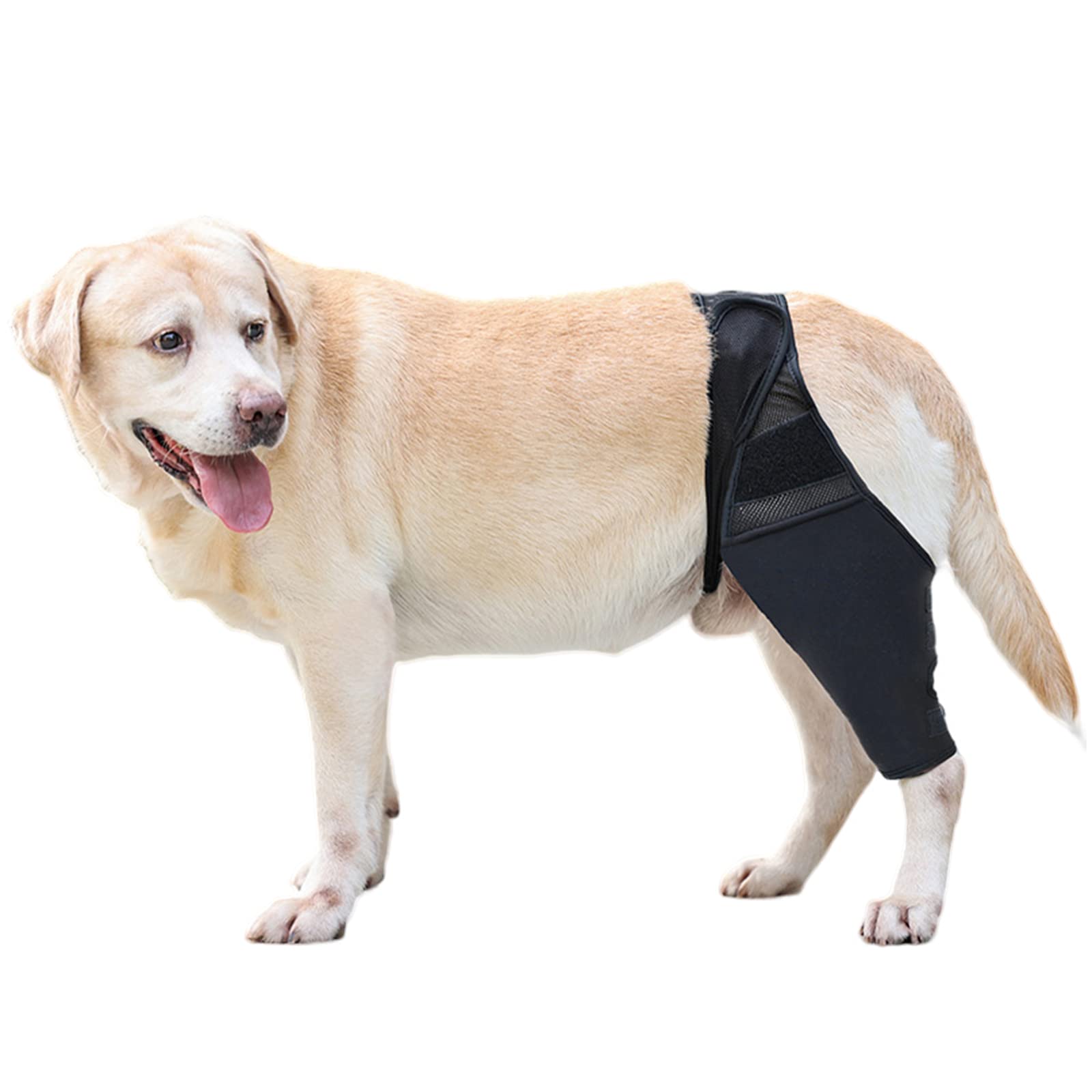 LKJYBG Pet Dog Knee Brace Adjustable Multifunctional Protective Gear with Magic Stickers for Wounds Heals Black M