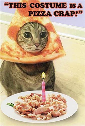 Recycled Paper Greetings Cat Wearing Pizza Costume Funny/Humorous Halloween Birthday Card
