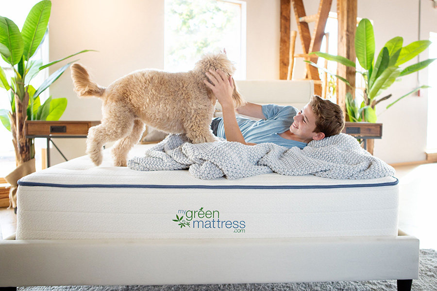 Kiwi Organic Mattress (King)