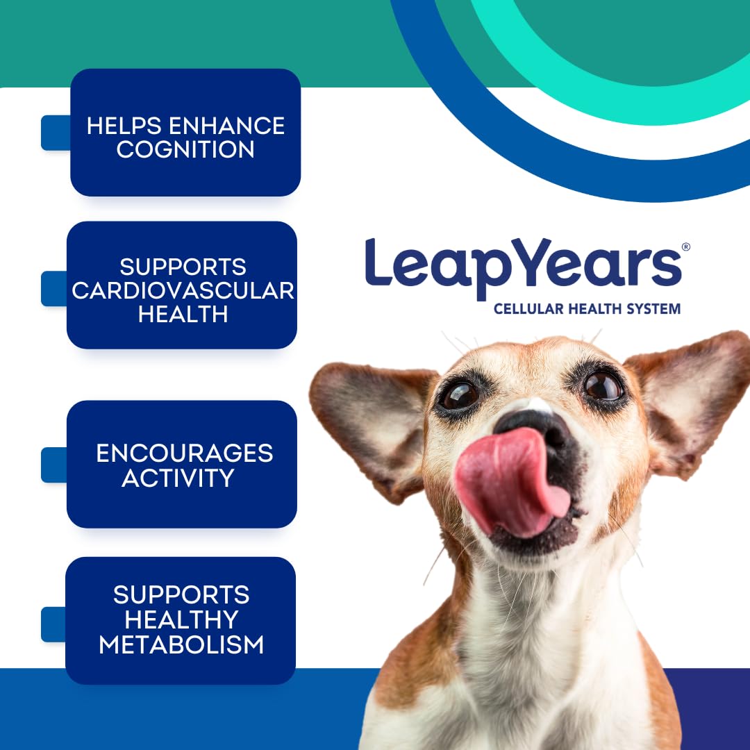 Leap Years Soft Chew Dog Supplement β Clinically Proven Daily NAD & Senolytic Formula; Support Cognition, Vitality & Healthy Cellular Aging; Beef Flavor (Large Breed (55-76 lbs))