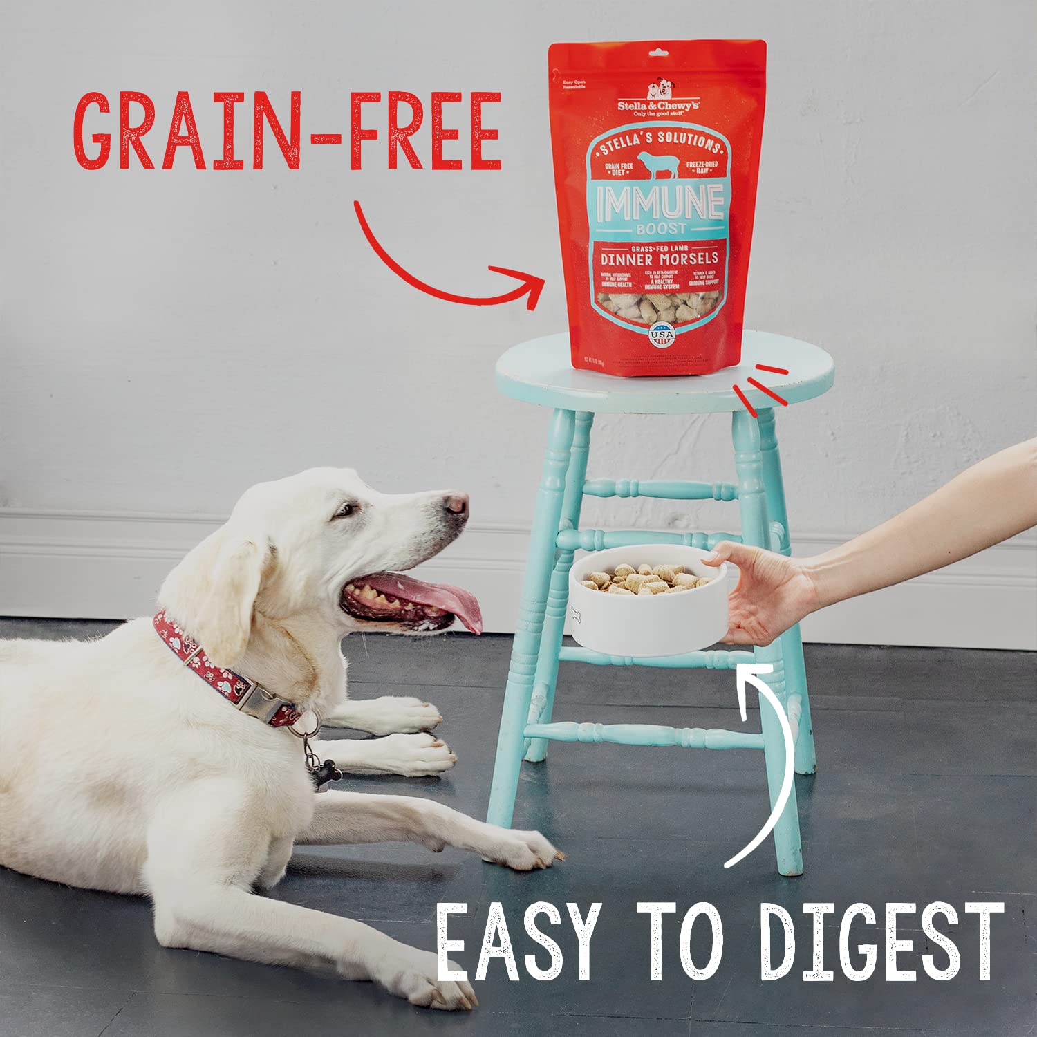Stella & Chewy's – Stella’s Solutions Digestive Boost – Grass-Fed Beef Dinner Morsels – Freeze-Dried Raw, Protein Rich, Grain Free Dog Food – 13 oz Bag
