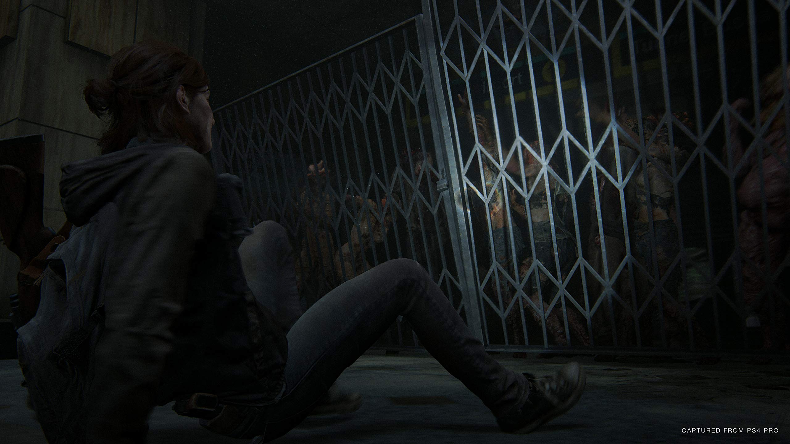 The Last of Us Part II (PS4)