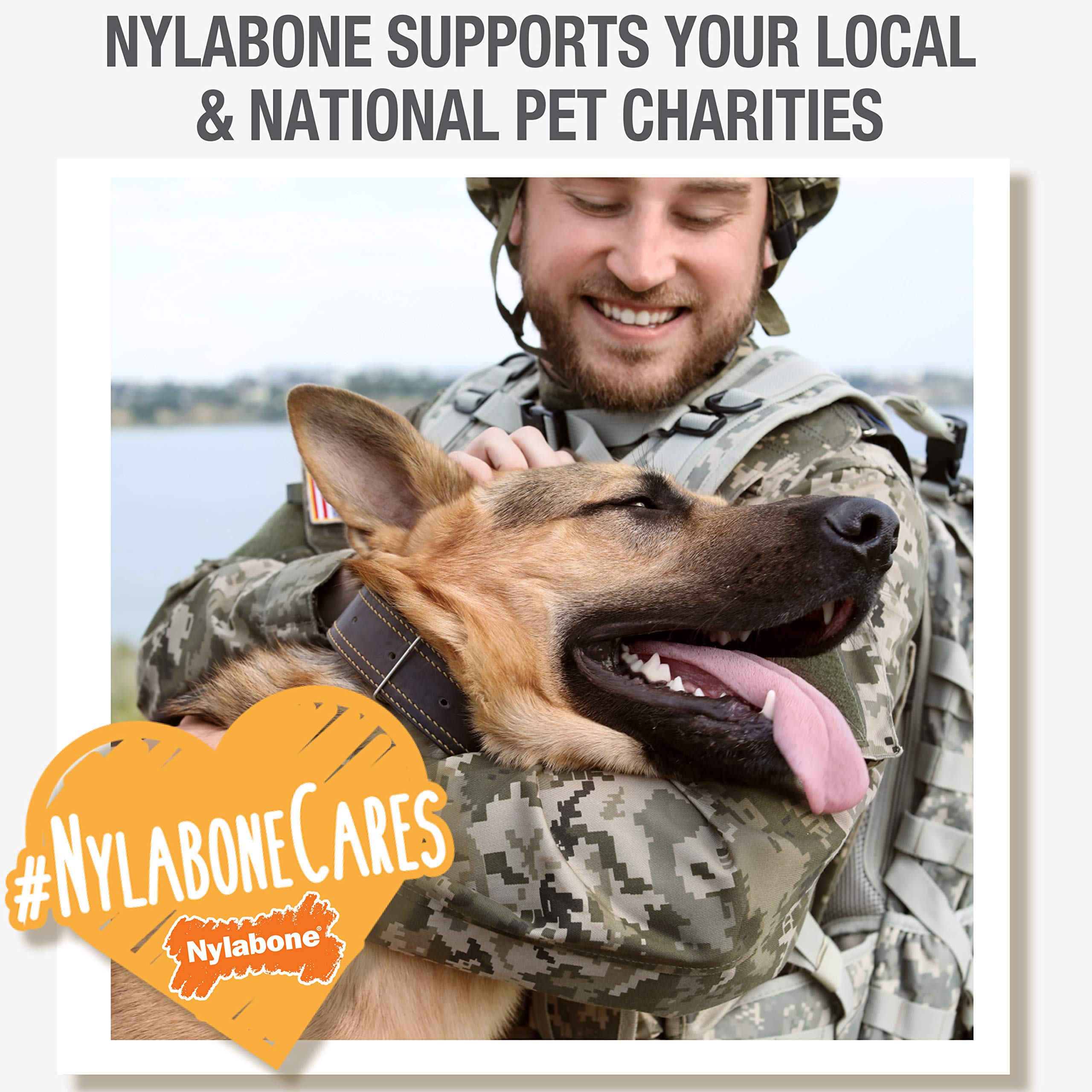 Nylabone Nubz Wild Natural Edible Chew Treats for Dogs, Made in USA, Bison Flavor, Small - Up to 25 lbs. (4 Count)
