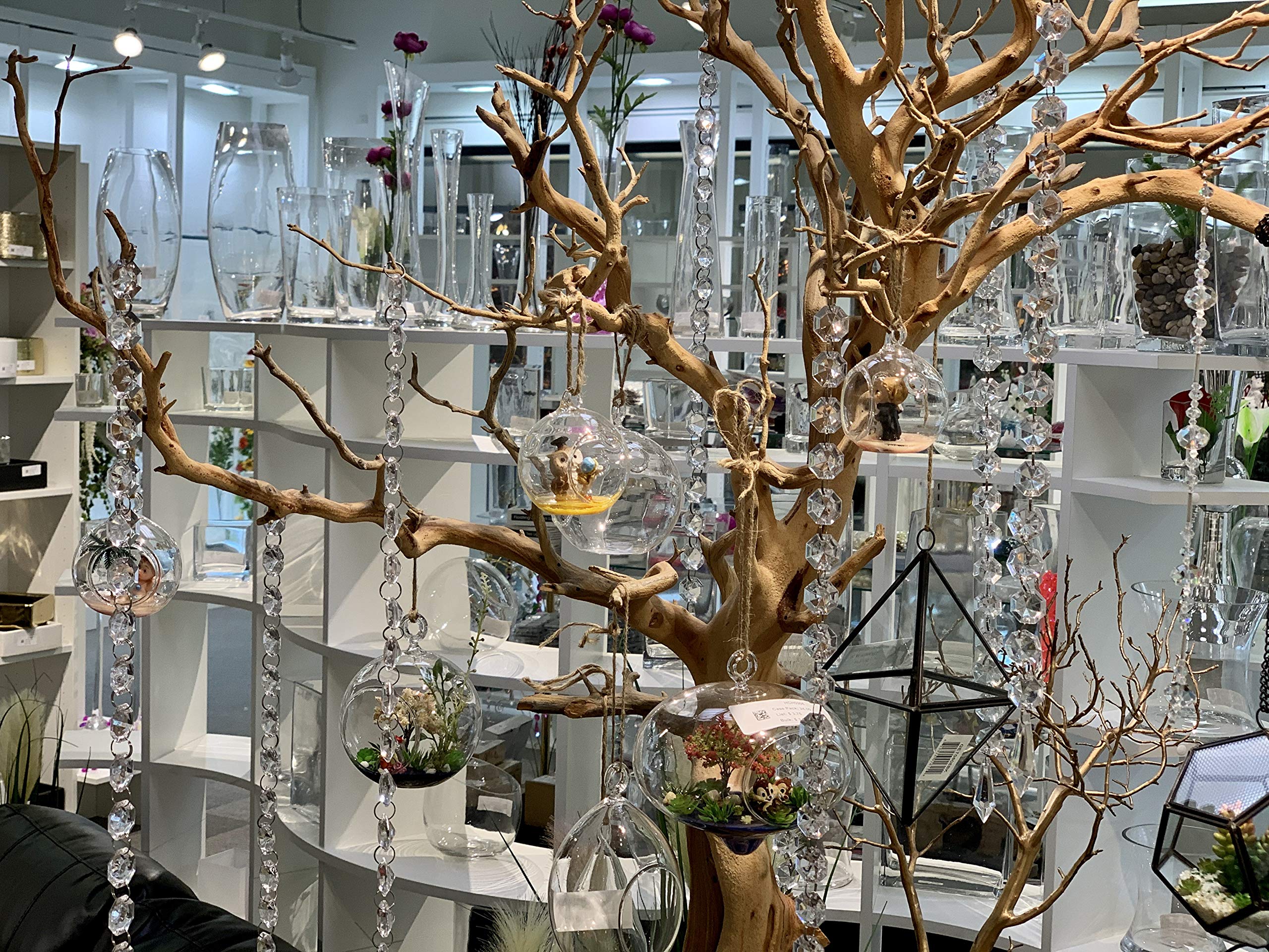 WGV Hanging Terrarium Globe, Width 8", Height 9", DIY Air Succulent Planter, Clear Glass Vase Orb with Flat Bottom, Candle Holder for Windowsill Outdoor Garden Decor, 6 Pieces Bulk