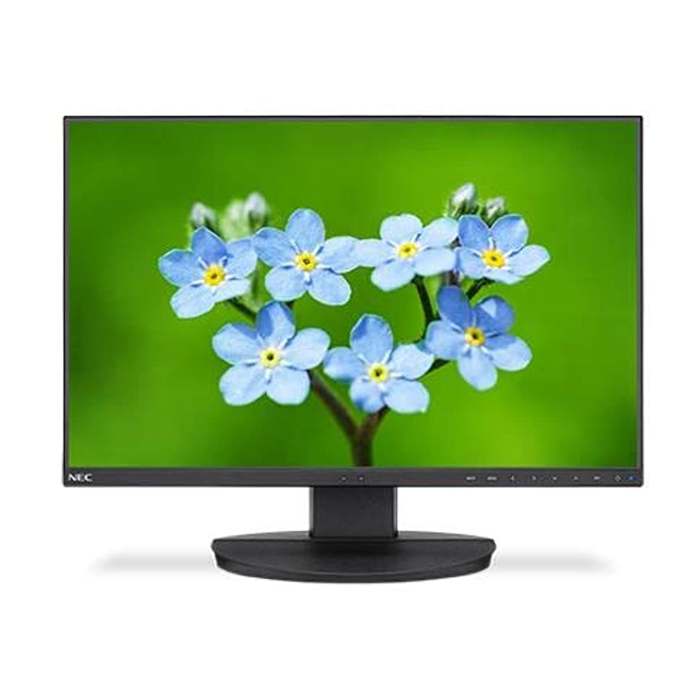 NEC EA231WU-BK 23 WUXGA Business-Class Widescreen Desktop Monitor with Ultra-Narrow Bezel (Renewed)