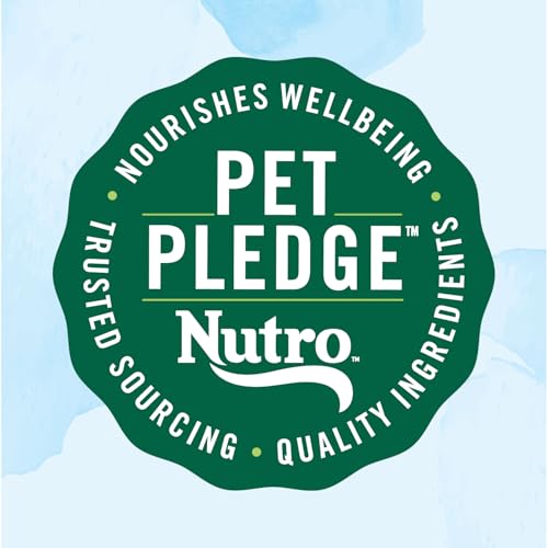 NUTRO Limited Ingredient Diet Small Bites Adult Dry Dog Food Lamb & Sweet Potato Dog Kibble, 22 lb. Bag