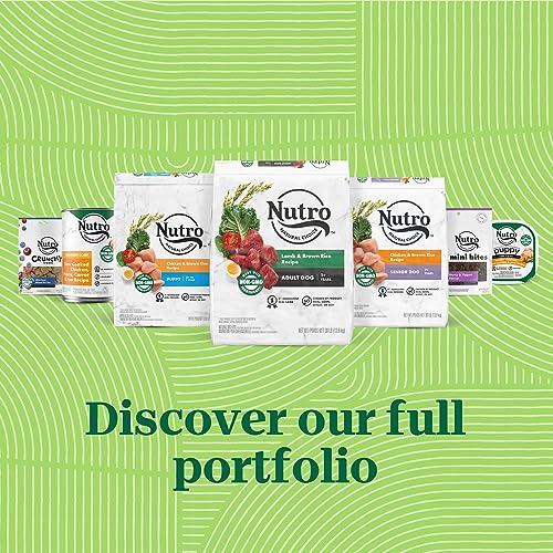 NUTRO NATURAL CHOICE Large Breed Adult Dry Dog Food, Lamb & Brown Rice Recipe, 40 lb. Bag