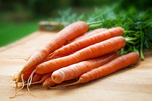 Gaea's Blessing Seeds - Carrot Seeds - Tendersweet - Non-GMO Seeds with Easy to Follow Planting Instructions - Heirloom Net Wt. 1.5g Germination Rate 91%