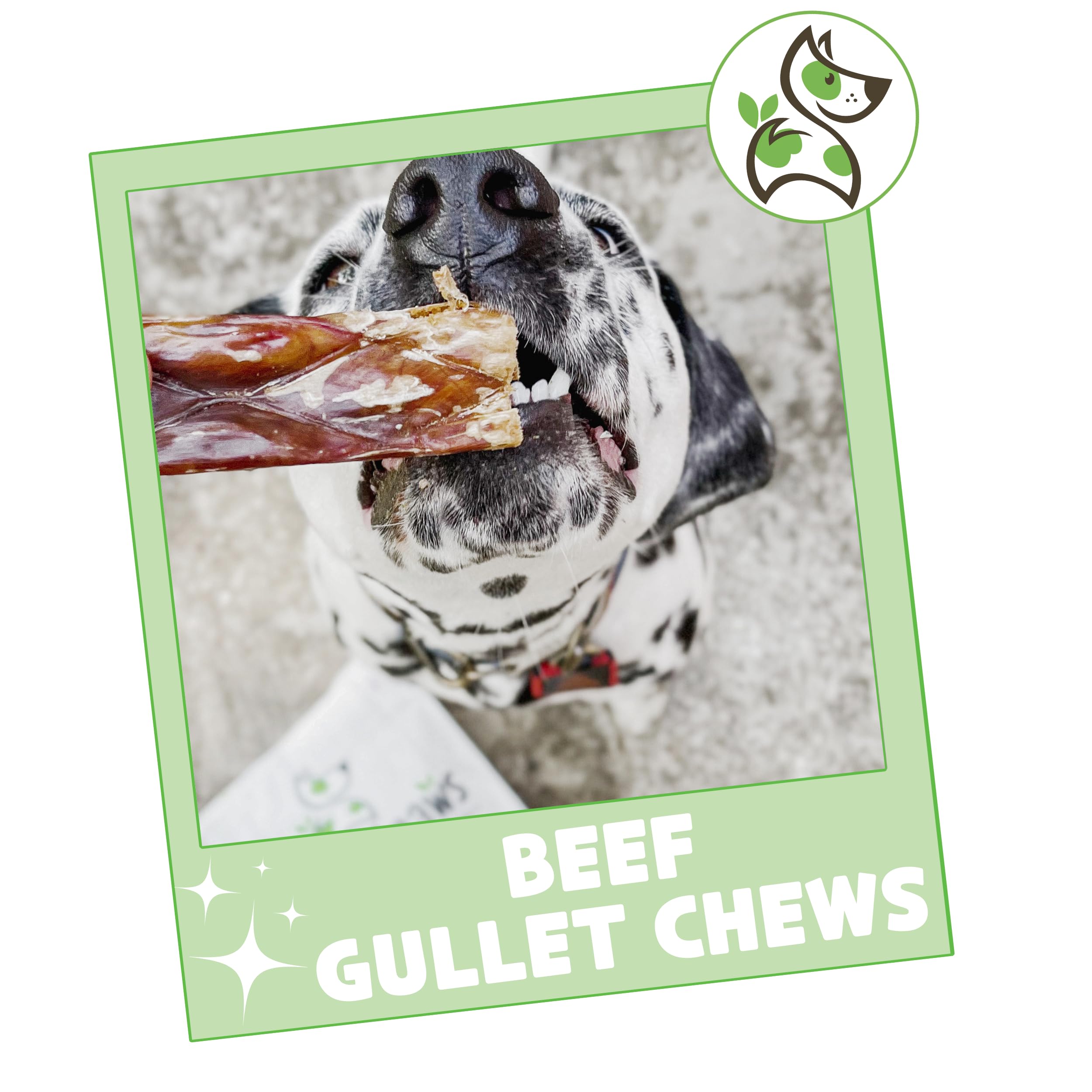Nature Gnaws Beef Gullet Chews for Large Dogs 9-10" (10 Count) - Natural Beef Jerky Stick Dog Chew Treats - Rawhide Free
