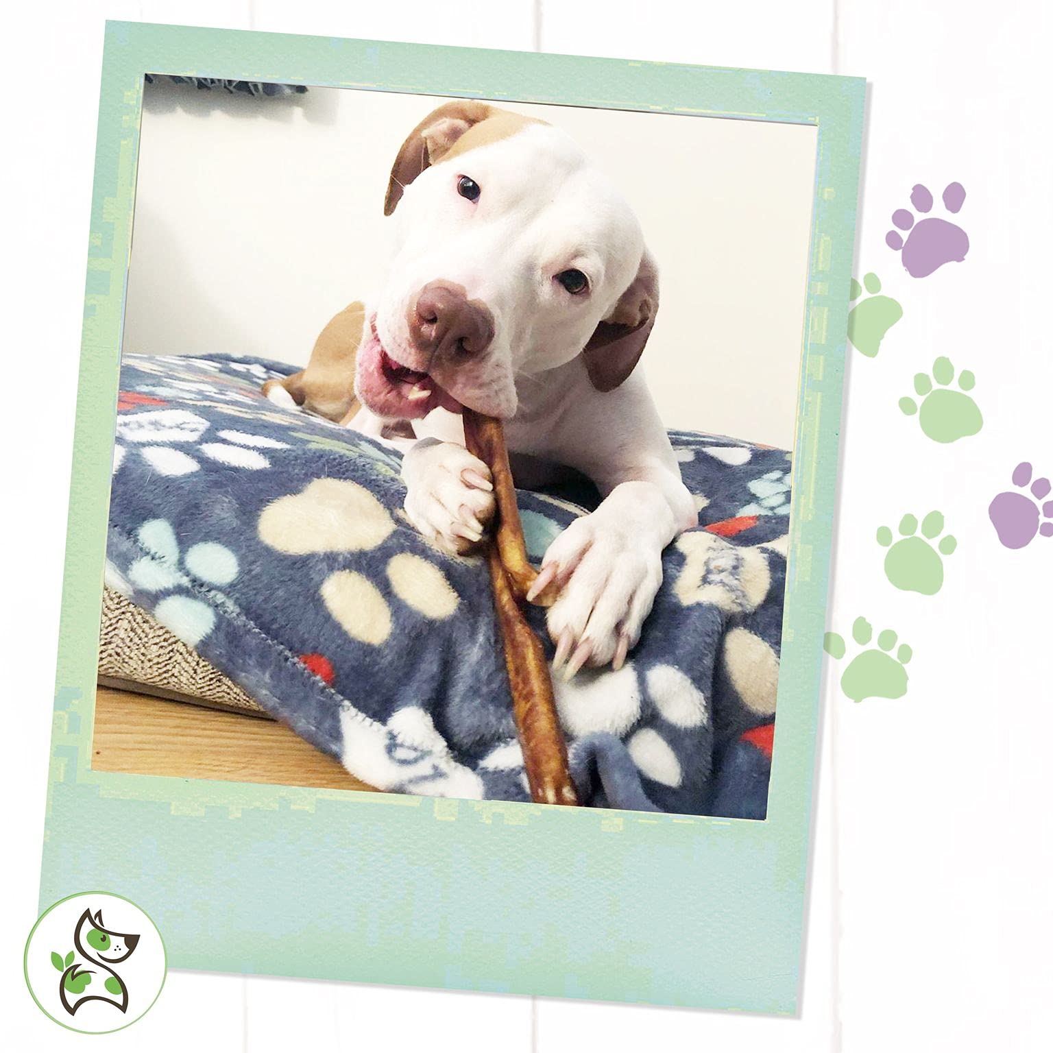 Nature Gnaws Bully Sticks for Dogs - Premium Natural Beef Dental Bones - Long Lasting Dog Chew Treats for Aggressive Chewers - Rawhide Free - Mixed Thickness 11-12"