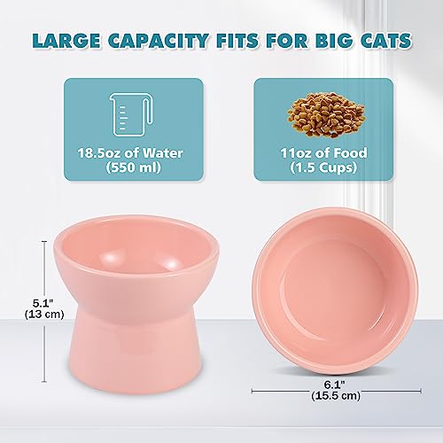 LIONWEI LIONWELI Ceramic Cat Feeder Bowl, Premium Pet Feeder, Extra Large 550 ML, Whisker Friendly, Microwave and Dishwasher Safe, 6.1 inch x 6.1 inch x 5.1 inch