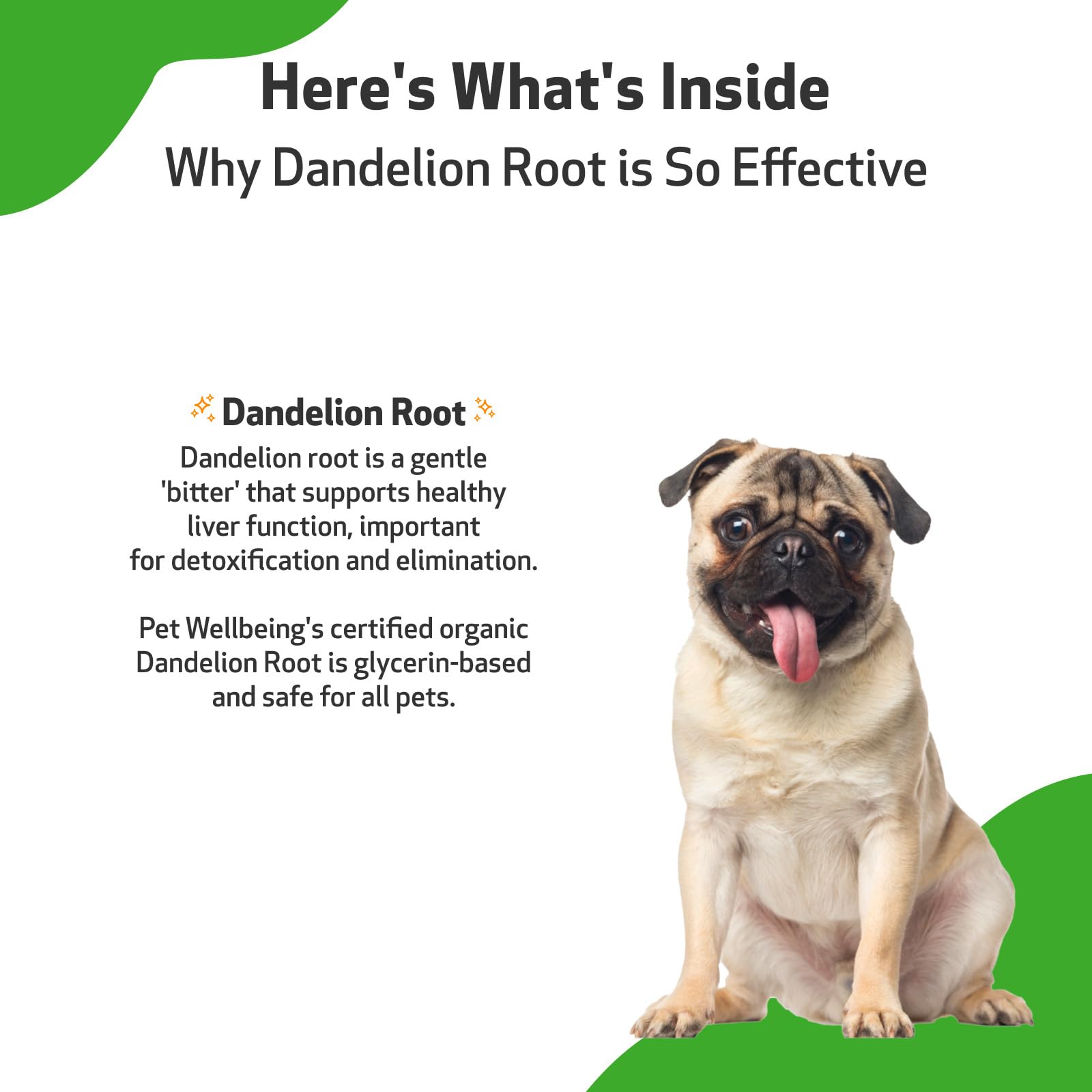 Pet Wellbeing Dandelion Root for Dogs - Liver & Heart Health, Digestive Function, Blood Sugar Support, Certified Organic - Veterinarian-Formulated Herbal Supplement 2 oz (59 ml)