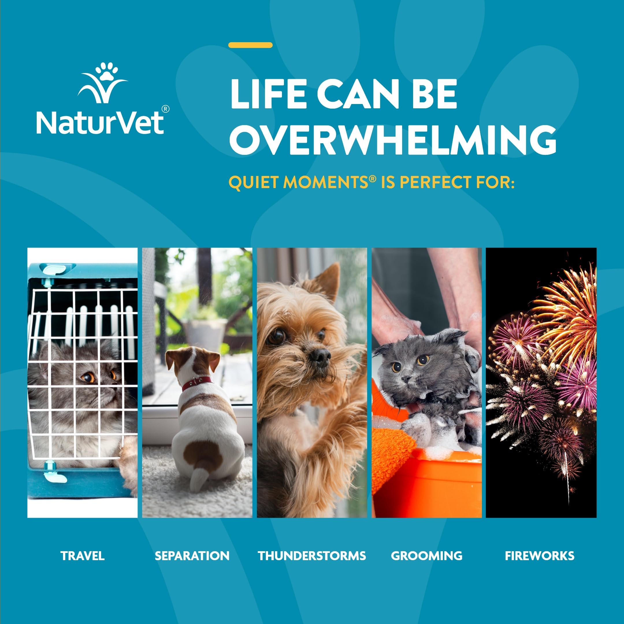 NaturVet Quiet Moments Calming Drops for Cats & Dogs β Helps Reduce Pet Stress, Promotes Relaxation β Dog Supplement, Cat Supplement Includes L-Tryptophan, Ginger, Chamomile β 2 Oz.
