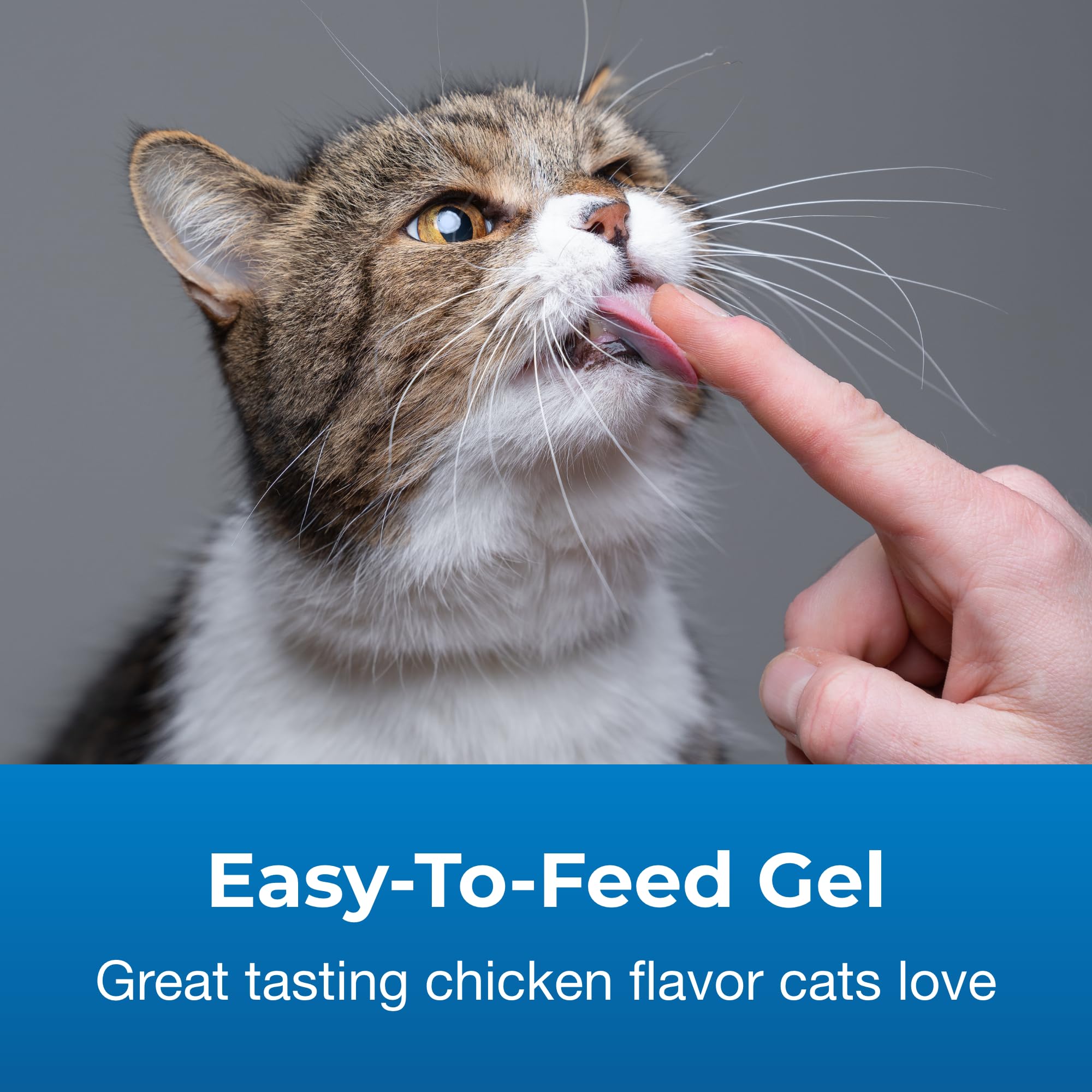 Pet-Ag Vitamin & Mineral Gel Supplement for Cats - 3.5 oz - Provides Basic Daily Vitamins & Minerals for Cats 4 Months and Older - Easy to Digest