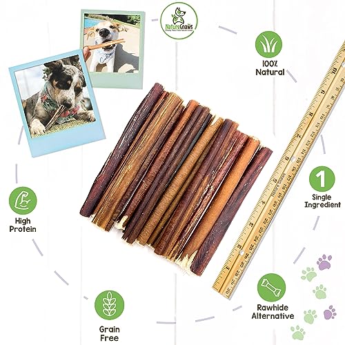 Nature Gnaws Mixed Bully Sticks for Small Dogs - Premium Natural Tasty Beef Bones - Simple Long Lasting Dog Chew Treats - Rawhide Free - 6 Inch
