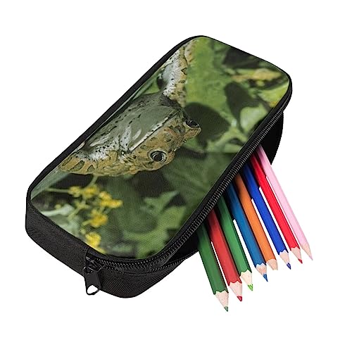 Parprinty Girls Boys School Backpack with Lunch Box Pencil Case Comfy Padded Lightweight Toad Backpack Set Kids Cute Bookbag Insulated Lunch Bag Student Large Capacity Daypack 17 Inch