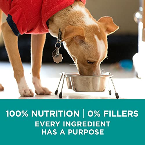 Purina One Plus Digestive Health Formula Dry Dog Food Natural with Added Vitamins, Minerals and Nutrients - 16.5 Lb. Bag
