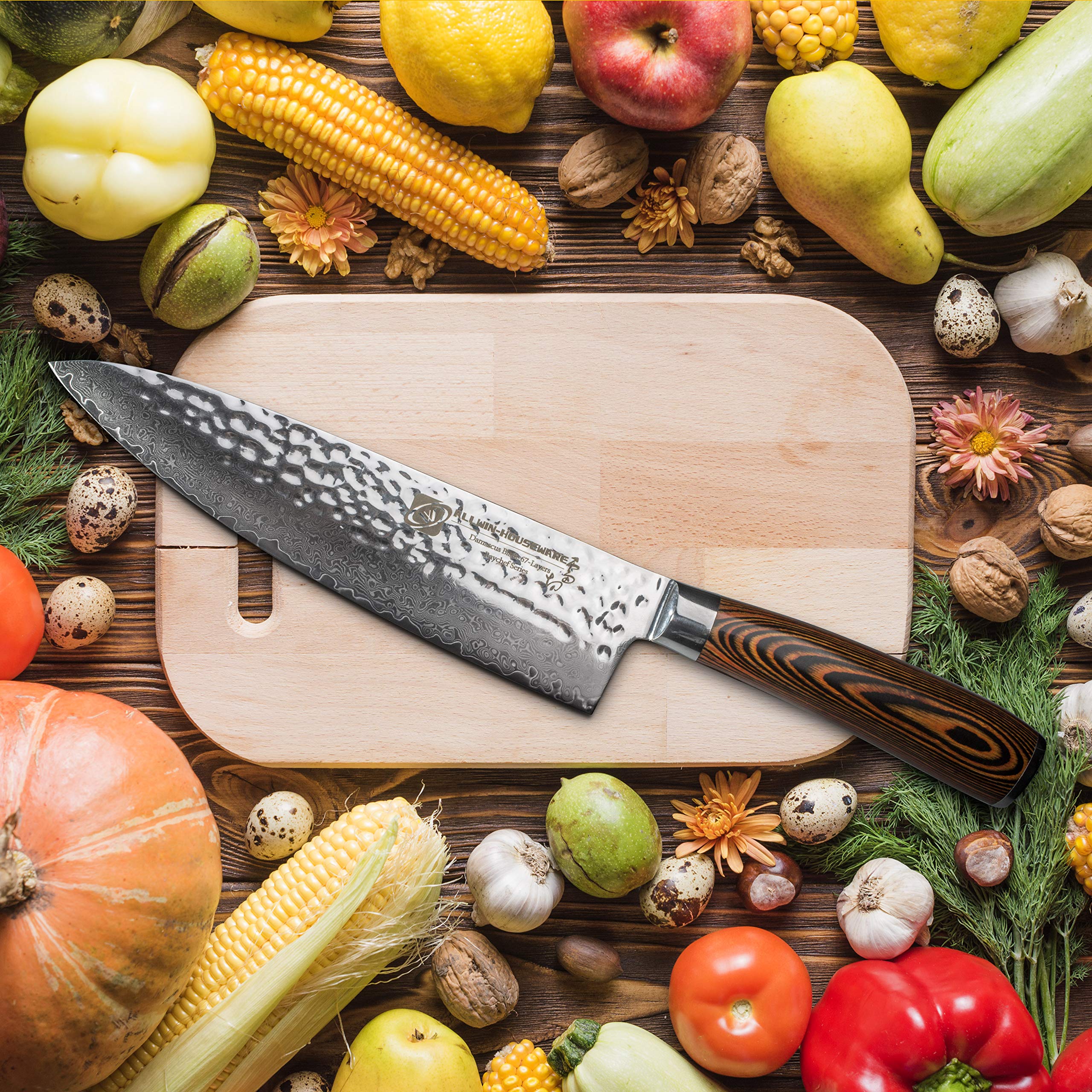 Damascus Chef Knife with VG10 Super Steel Core, Professional 67-layer Handmade 8" PAKKA Wood Handle Damascus Chefs Knife