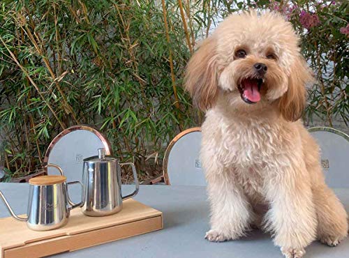 MERMOO YILAN Pour Over Drip Kettle 350ml Stainless Steel Gooseneck Coffee Kettle Long Narrow Spout Hand Drip Coffee Tea Pot with Lid