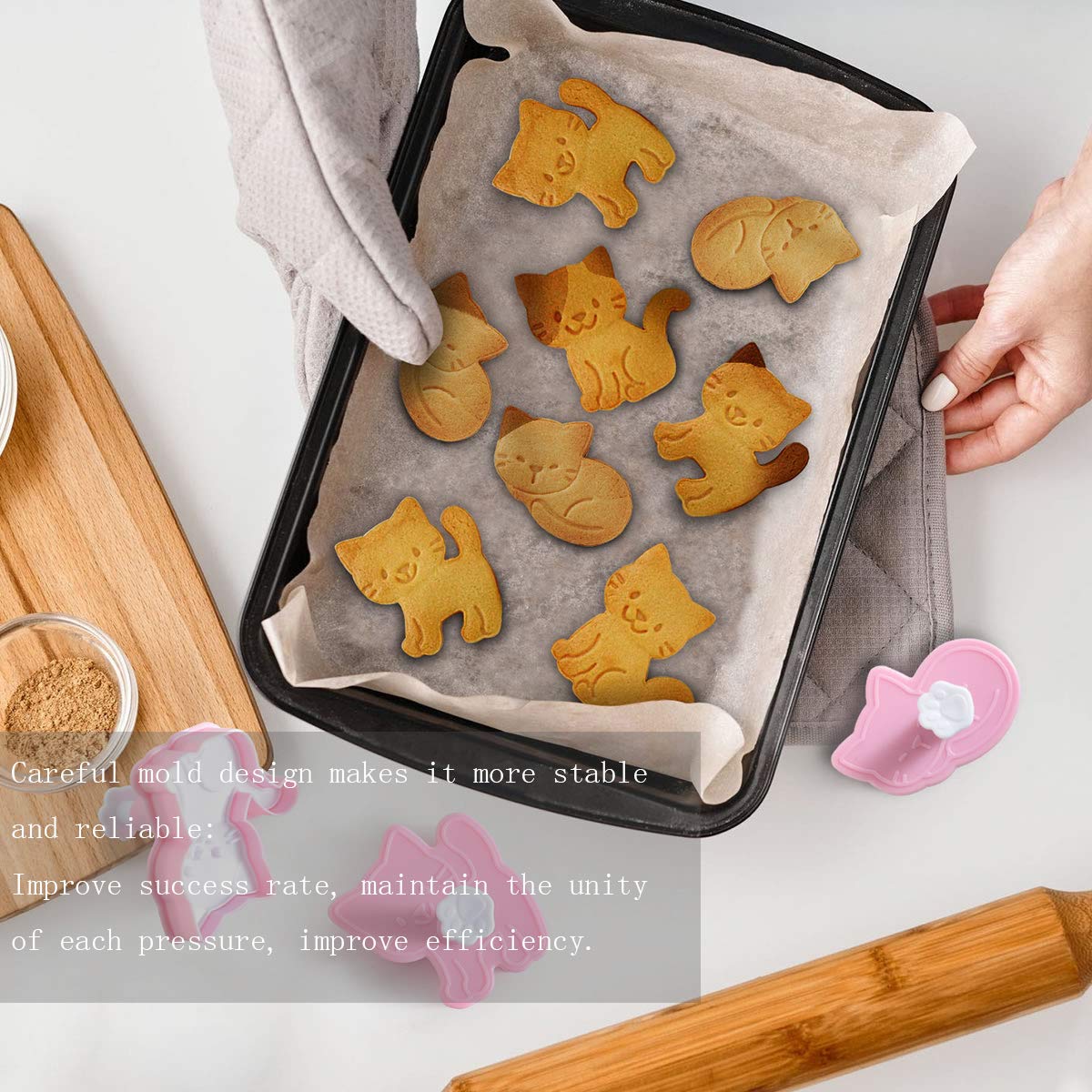 GOODFEER Cookie Cutters Cat Shape,3pcs Animal Cookie Stamps for Baking, bladeless safety Baking Molds For Biscuit