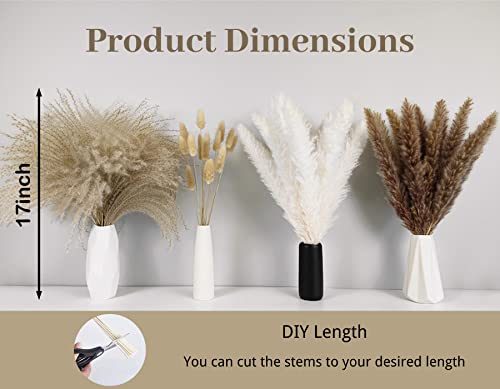 Pampas Grass Boho Home Decor, 75Pcs Natural Dried Carefully Hand-Picked Fluffy Pompas Grass 17", White & Brown Pampas Grass, Reed, Bunny Tails for Flower Arrangements Boho Wedding Home Décor