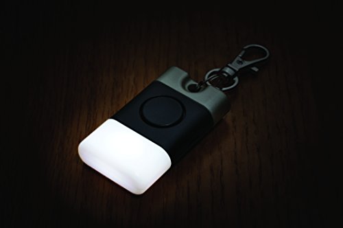Xodus Innovations BL300 Easy to Find Always Glowing LED Key Chain Purse Light with Flashlight