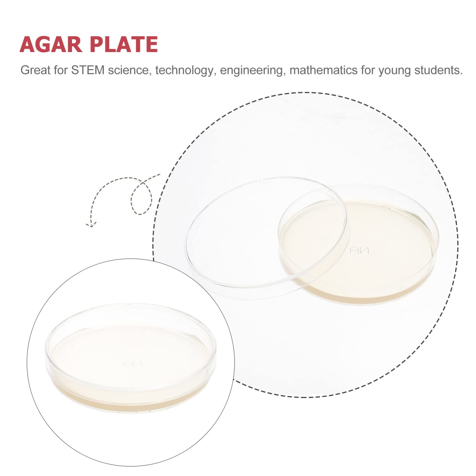 Scicalife 10pcs Plastic Petri Dishes Bioresearch Petri Dish Potato Dextrose Agar Plates Culture Dishes for Mushrooms Science Fair Projects Seeding Biological Themed Party 9cm