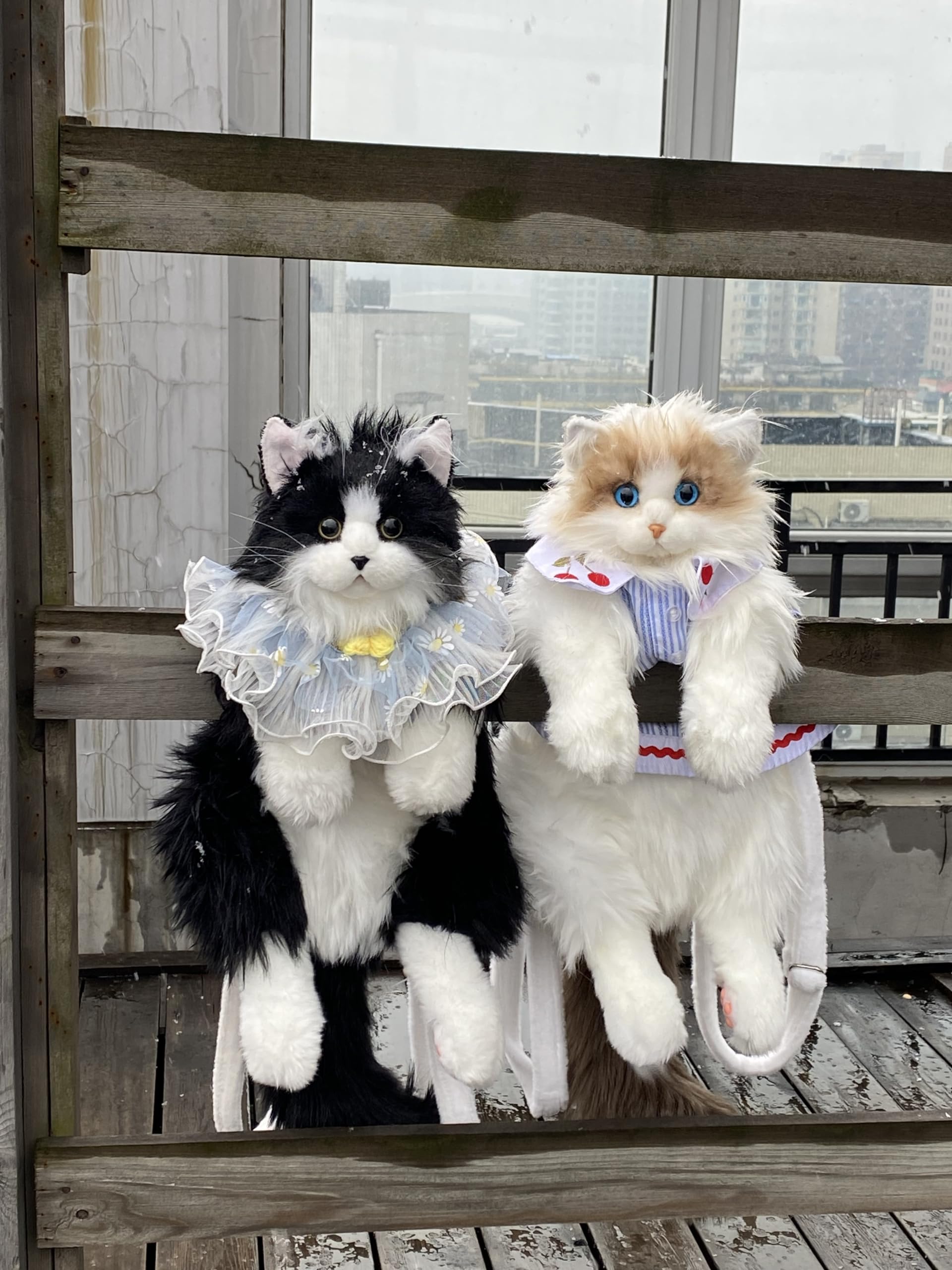 Chongker Stuffed Animals Backpack - Cute Cat plush Backpack, Handcrafted Realistic Cat Shaped Backpack for Women,Girls,Adults,Kids,Idea for Birthdays,Anniversaries,Ordinary days, Large Ragdoll Bag