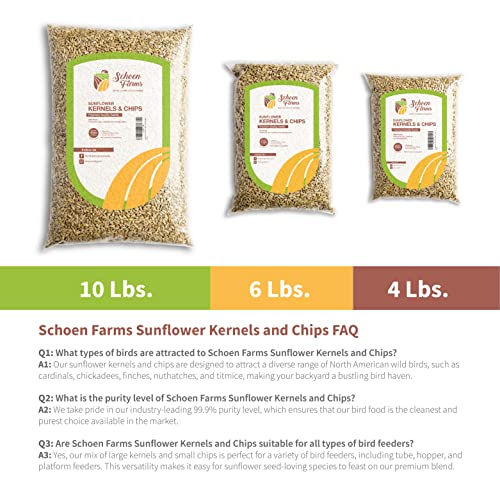 Schoen Farms Sunflower Kernels and Chips (10 LBS) Hearts, Bird Seed