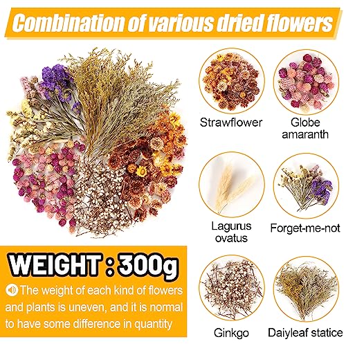 MEWTOGO 10.5Oz Hamster Bedding Decor - Natural Edible Dried Flowers Herb for Habitat Decor of Gerbils Hamsters Degus Mice Reptiles Bunny and Other Small Animals