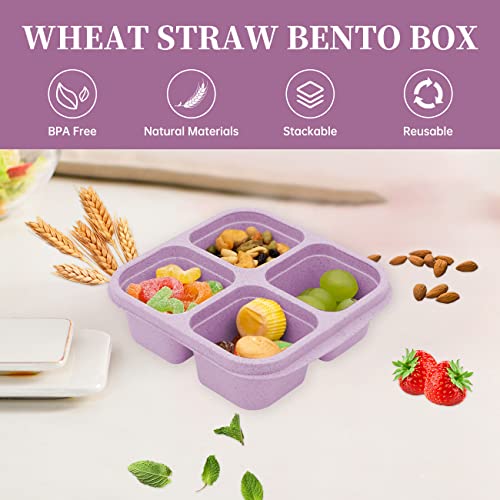 Luriseminger Bento Lunch Box,4 Compartment Snack Containers,Divided Snack Box,Meal Prep Lunch Containers FOR Kids/Toddle/Adults,Food Storage Containers for School, Work and Travel (Multicolor-5pack)