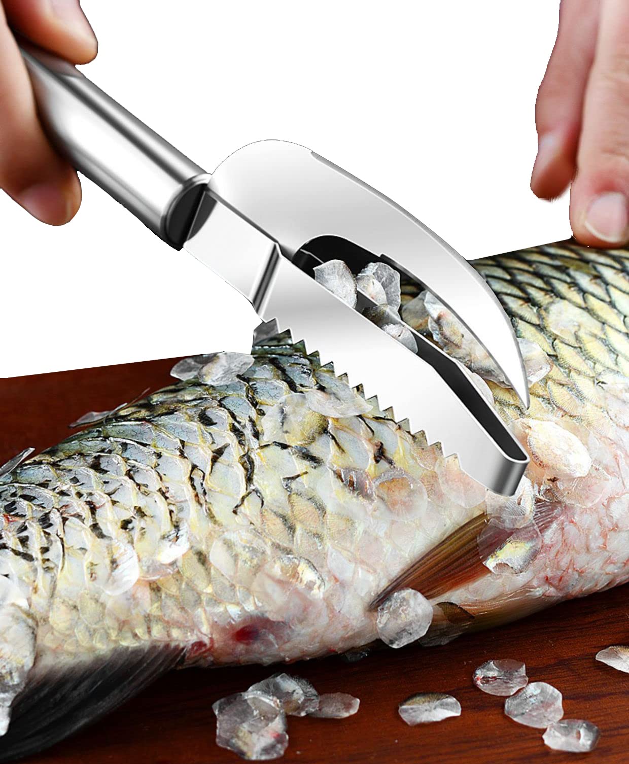 Fish Scale Knife Cut/Scrape/Dig 3-In-1, Fish Scale Knife, Fish Scaler Remover, 3-In-1 Fish Scaler Remover Cutter, Stainless Steel Fish Scale Remover, Stainless Steel 3 In 1 Fish Maw Knife (one)