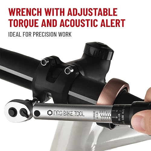 PRO BIKE TOOL 1/4 Inch Drive Click Torque Wrench Set β Inch Pound Nm Dual Readout β Bicycle Maintenance Kit for Road & Mountain Bikes - Includes Allen & Torx Sockets, Extension Bar & Storage Box