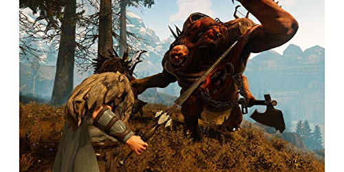 Citadel Forged with Fire - PlayStation 4 Standard Edition