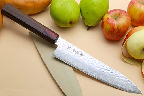 Yoshihiro VG-10 46 Layers Hammered Damascus Gyuto Japanese Chefs Knife (Octagonal Shitan Rosewood Handle) (8.25" (210mm))