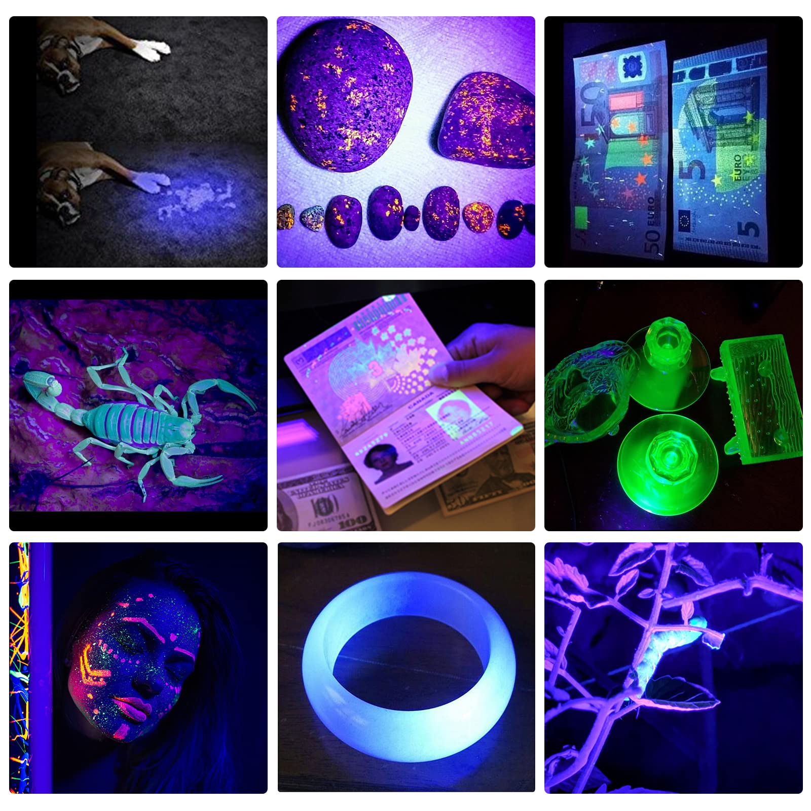 EOWCO UV Flashlight 365nm & 395nm, Ultraviolet Black Light Flashlights, Handheld Zoomable Blacklight Torch Wood's Lamp, Detector for Pet Urine Dry Stains, Resin Curing, Rocks, Scorpions Finder
