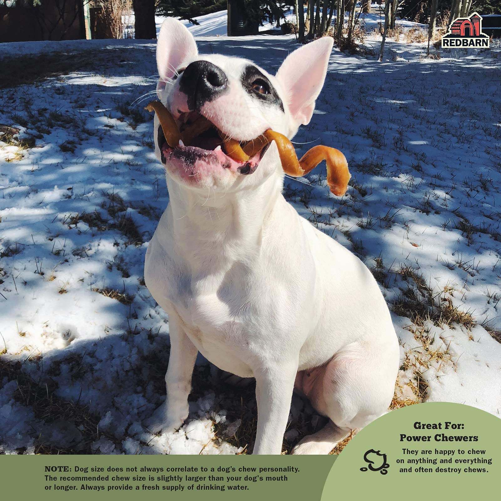 Redbarn Bully Springs for Dogs, 3-Count (Pack of 4)