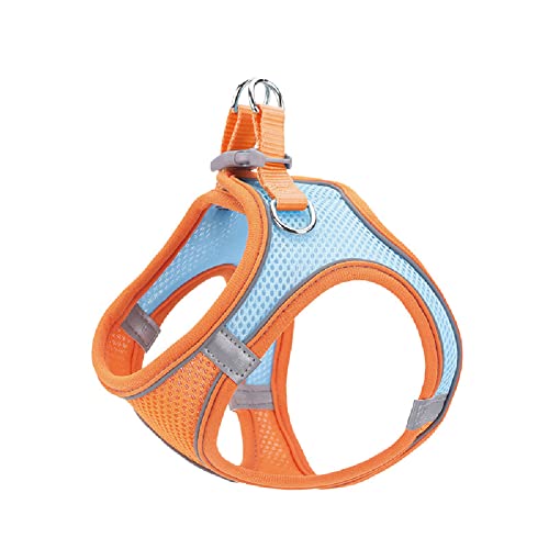 Richcatty 2.0 Step in Air Dog Harness with 59“ Pet Leash for Dogs&Cats-Super Breathable Stable and Lightweight No Feeling Design More Comfortable (Blend Orange, S(Pet Weight 8.8-12.1Lb))