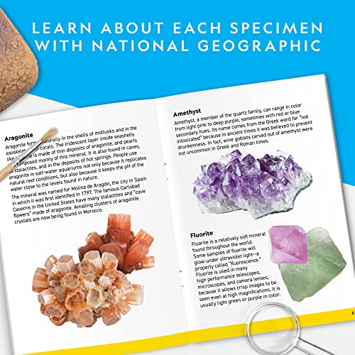 NATIONAL GEOGRAPHIC Mega Gemstone Dig Kit β Dig Up 15 Real Gemstones and Crystals, Science Kit for Kids, Gem Digging Kit, Gift for Girls and Boys, Mining Kit, Rock Collection (Amazon Exclusive)
