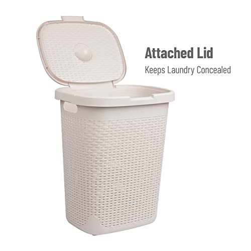 Mind Reader Basket Collection, Slim Laundry Hamper, 50 Liter (15kg/33lbs) Capacity, Cut Out Handles, Attached Hinged Lid, Ventilated, 17.65"L x 13.75"W x 21"H, Ivory