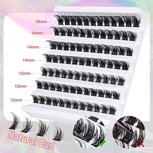 DIY Lash Extension Kit Lash Clusters Kit Fluffy Wispy Cluster Lashes Like Eyelash Extensions Lash Bond and Seal Strong Hold 12-16MM by ALICE